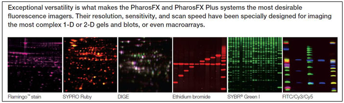 Pharos FX Gel Scanner – UCLA-DOE & Biochemistry Shared Instrumentation ...